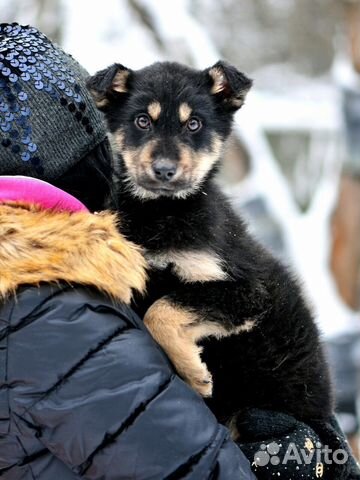 Макс