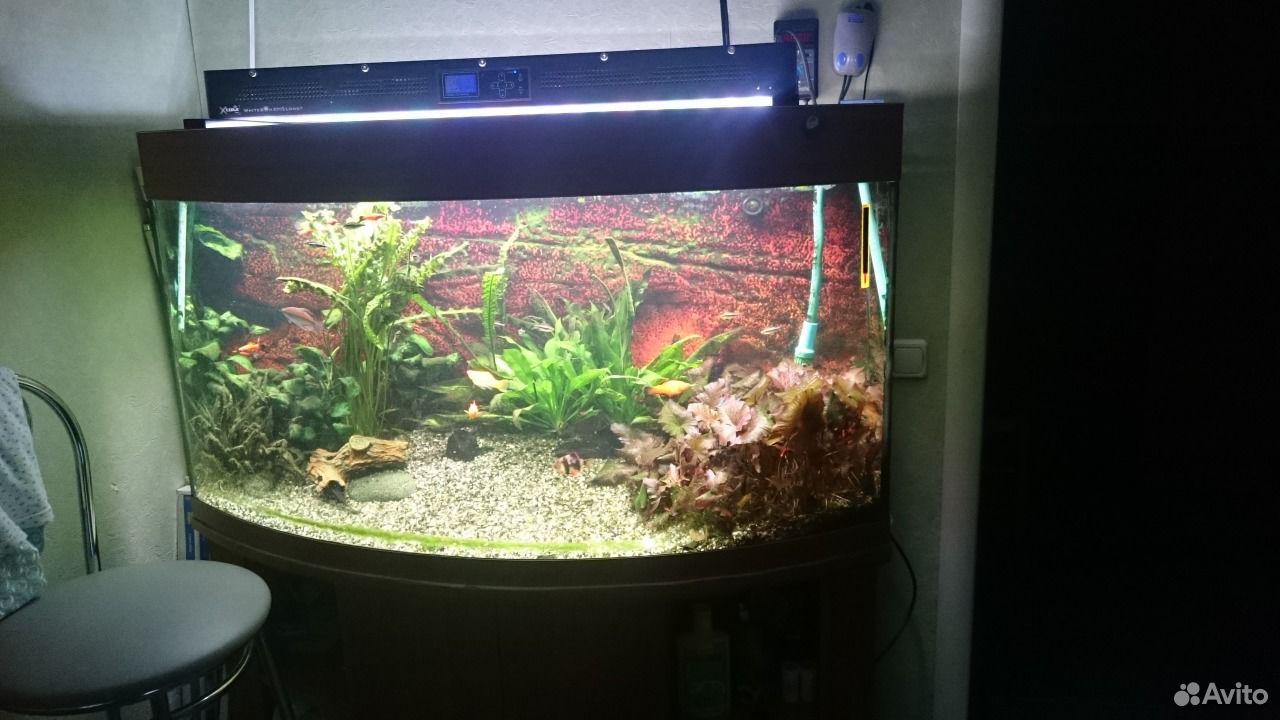 Продам Аквариум 330 л сфера Б.у