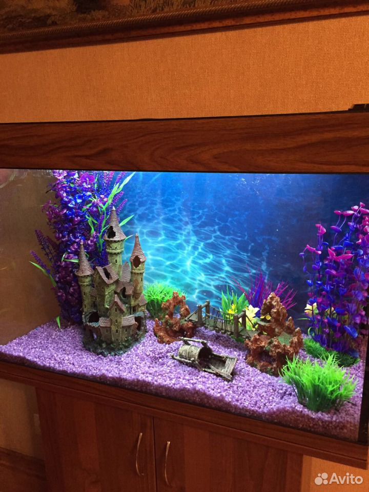 Аквариум
