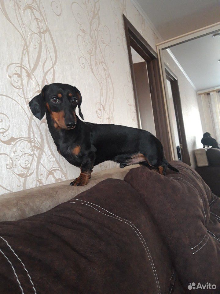 Мальчик приглашает девочку на свидание