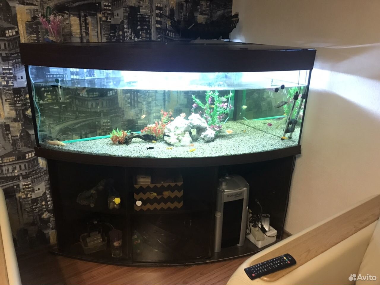 Аквариум угловой обзорный с тумбой 350л