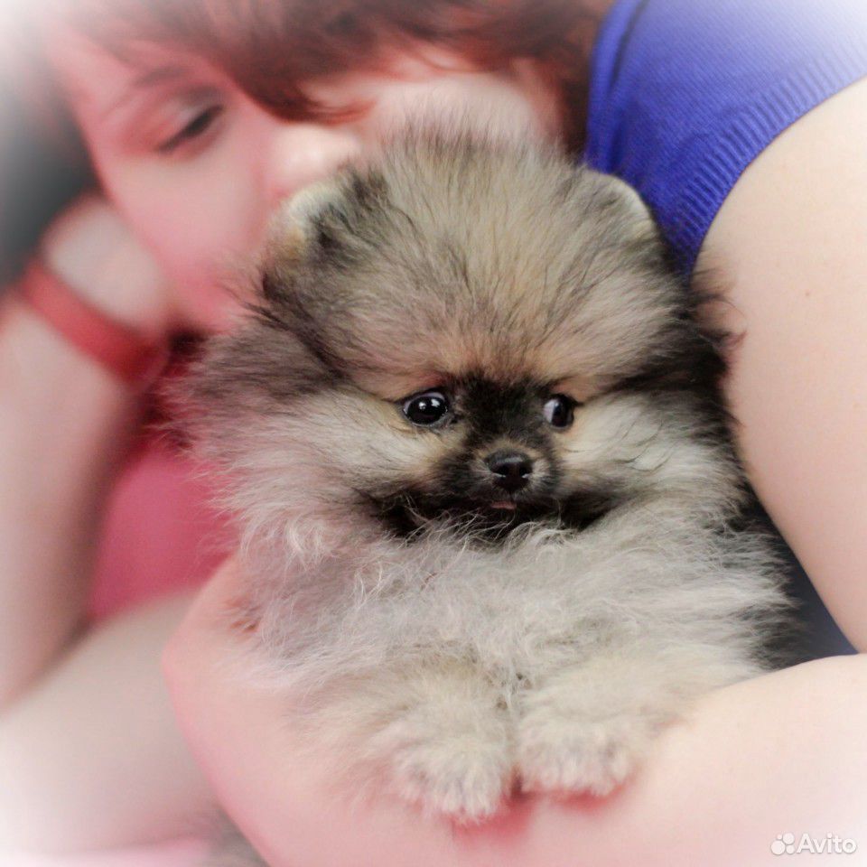 Поночка, супер мини девочка