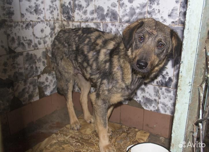 Они ждут именно Вас)