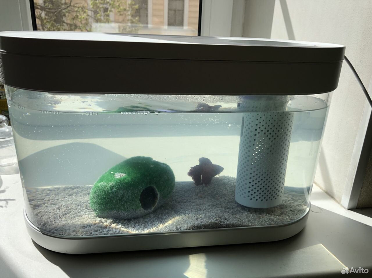 Акваферма Xiaomi (аквариум)