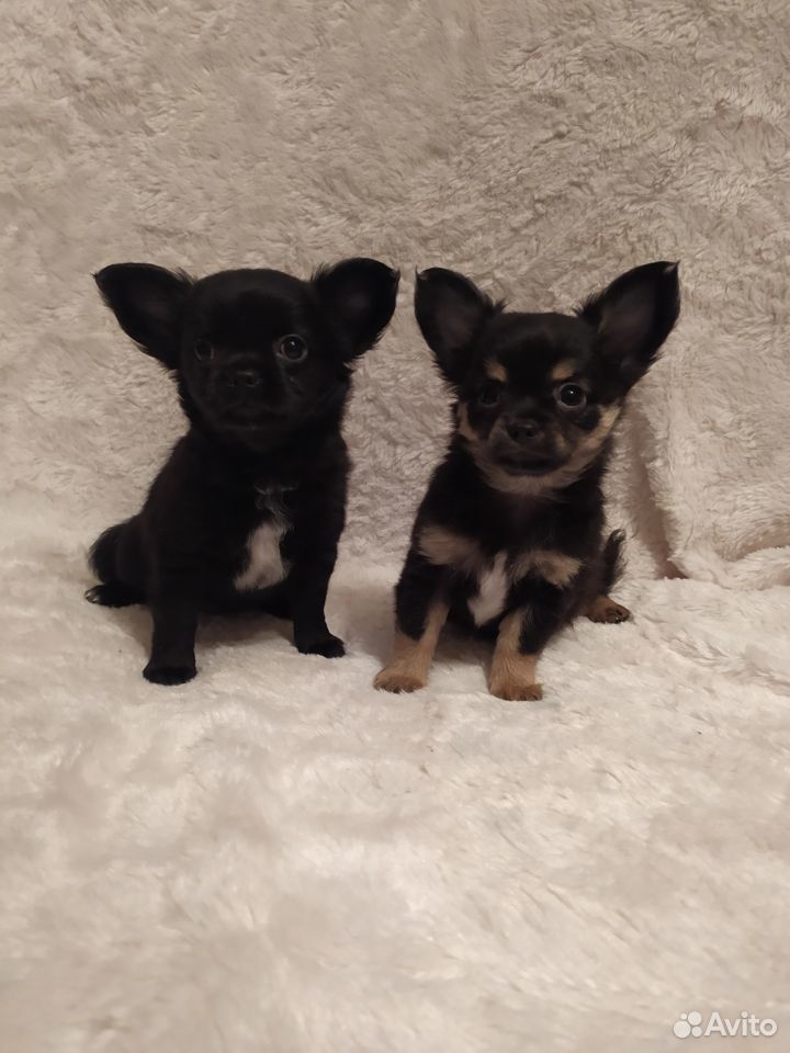 Детки конфетки