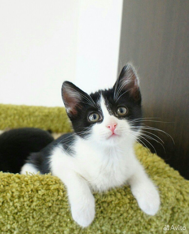 Ласковая кроха, 2 месяца