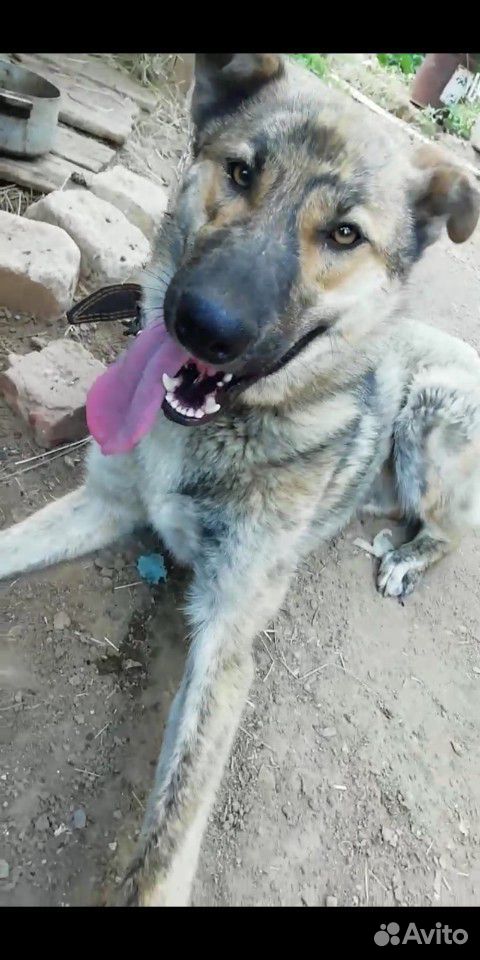 В добрые руки, кабель, 2 года