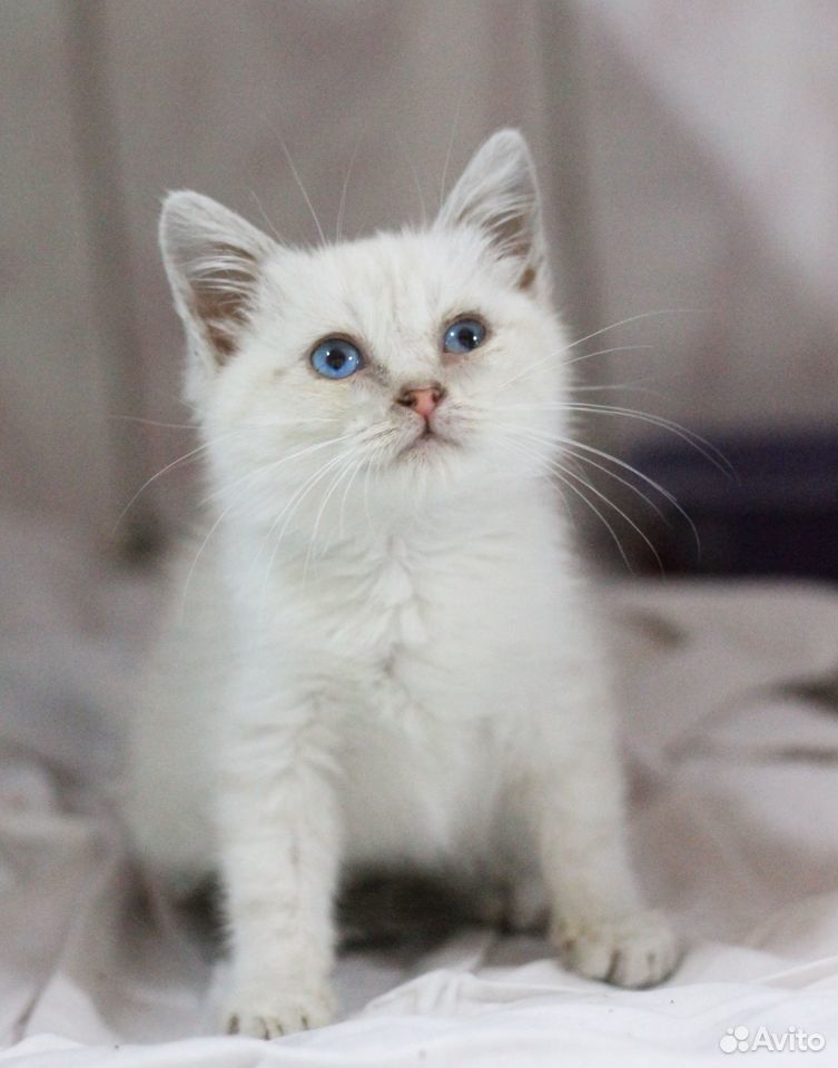 Нежная Бусинка