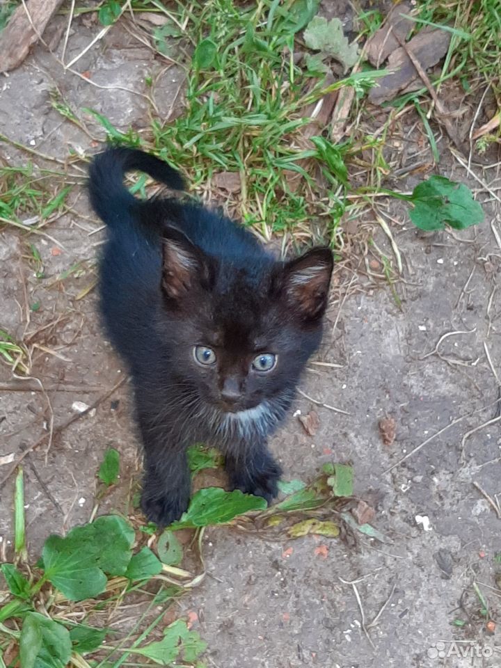 Мальчишка пропадает на улице