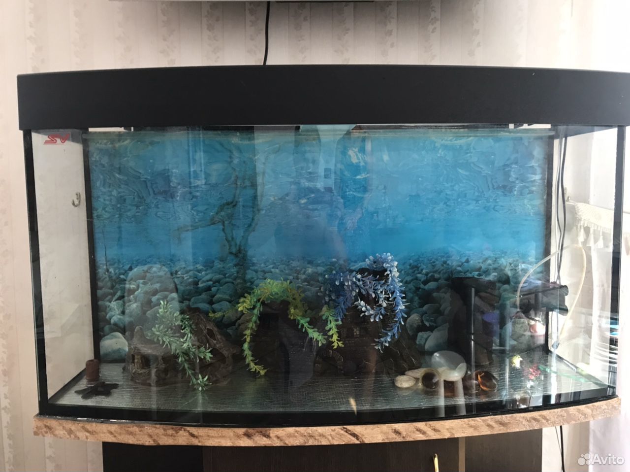Аквариум 200л с тумбой полностью укомплектованный