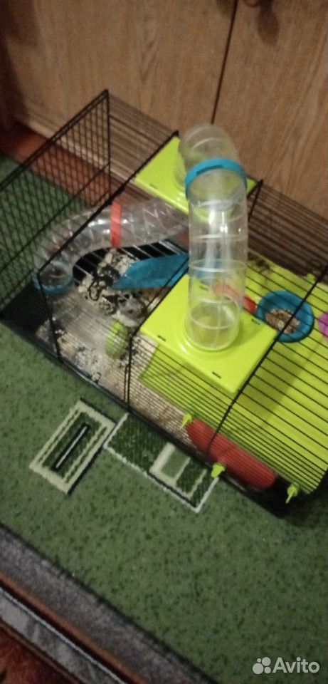 Мышка с клеткой в дар