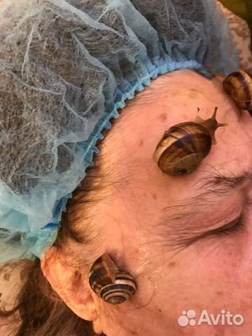 Улитки для домашнего пилинга