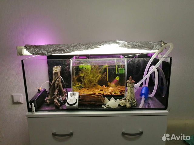 Аквариум
