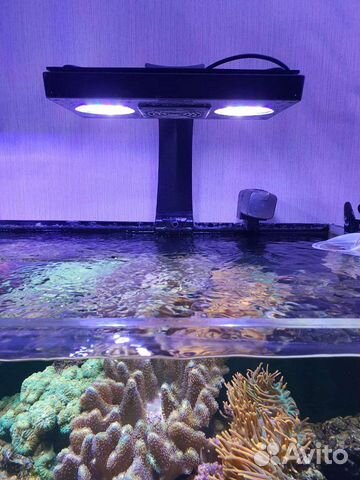 Radion XR30w Pro Ecotech Marine (с подвесами)