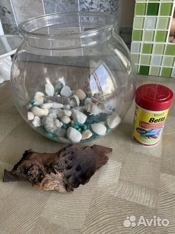 Аквариум, корм для рыб и грунт ракушки
