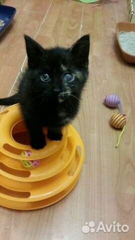 Крутая девочка