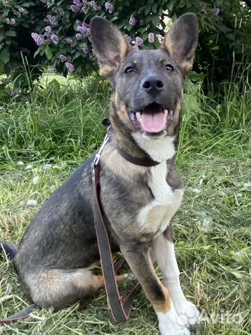 Любящее сердце и добрые руки