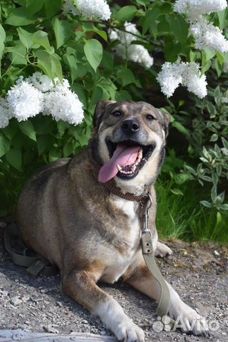 Надеется на чудо