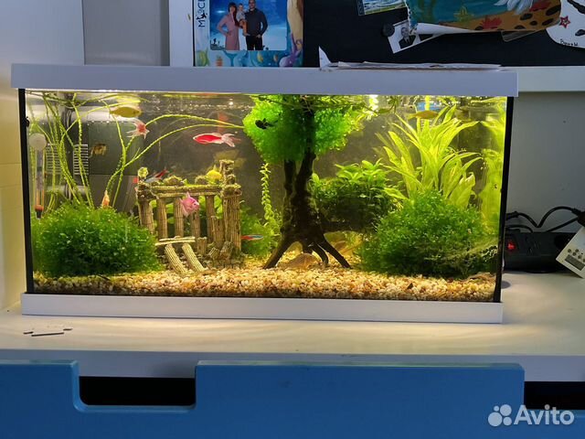 Аквариум