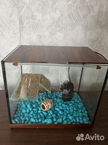 Аквариум
