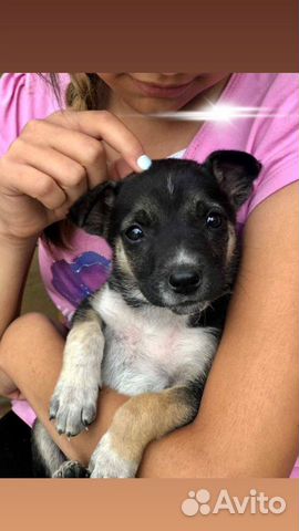 Малышку выбросили как ненужную вещь. Ищем семью