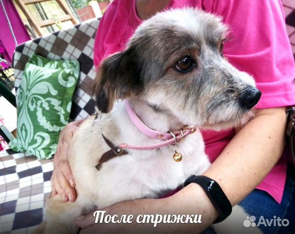 Южная принцесса ищет дом