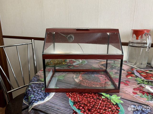 Аквариум для черепах