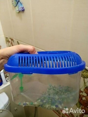 Контейнер для черепах