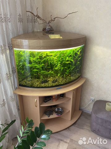 Аквариум Jebo R 470 186л с тумбой