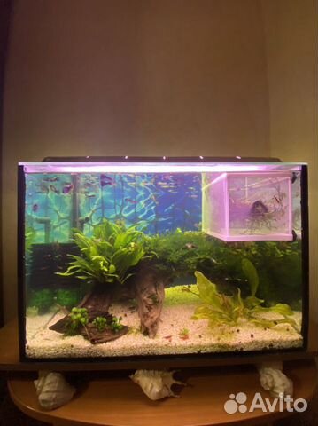 Аквариум 80 литров