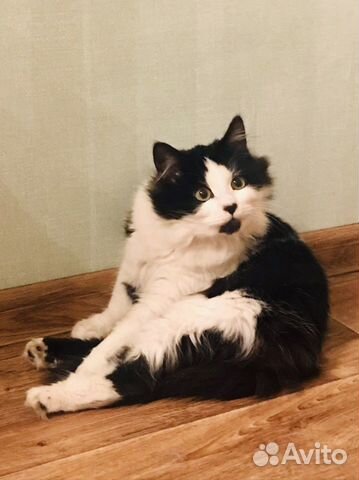 Малышка Альба ждет свою Семью