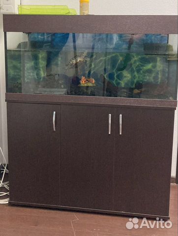 Акватеррариум 200л с тумбой и оборудованием