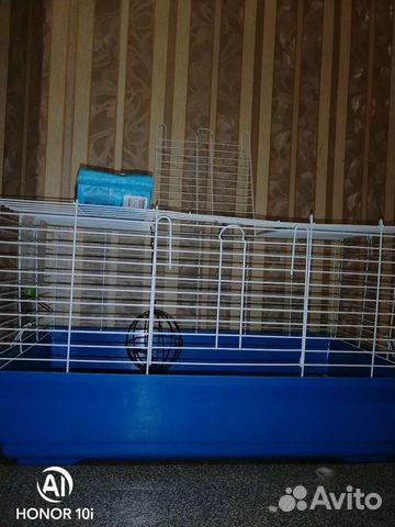 Декоративный кролик с клеткой