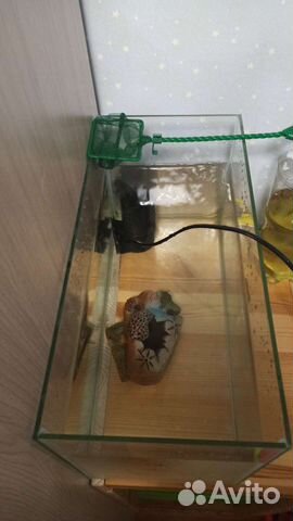 Аквариум 20 л +рыбки +фильтр +сачек и корм