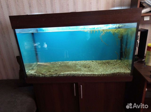 Аквариум 250л,тумба,грунт джебеэль, фильтр джебеэл