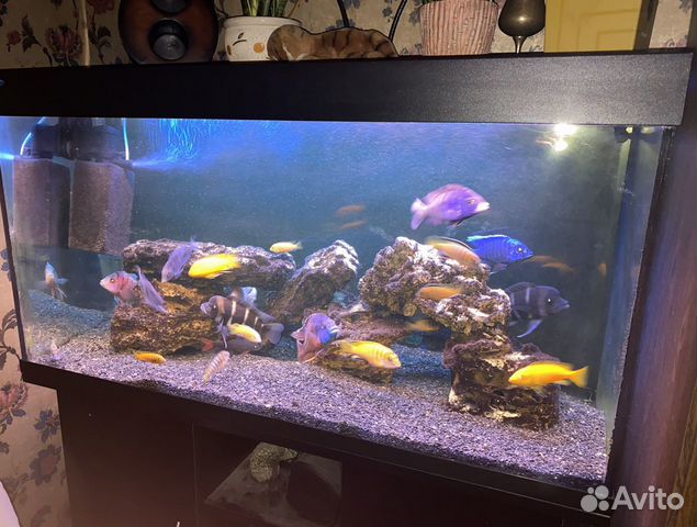 Аквариум с тумбой 300 литров