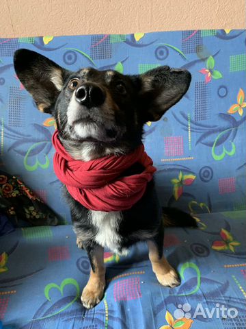 Корни, малыш в добрые руки