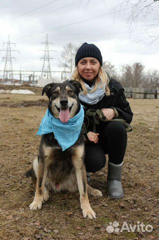 Пёс Боня ищет хозяина