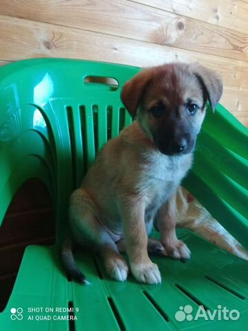 Замечательная девочка 3 мес, очень нужна семья