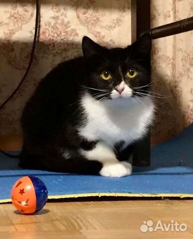 Девочка Нюша