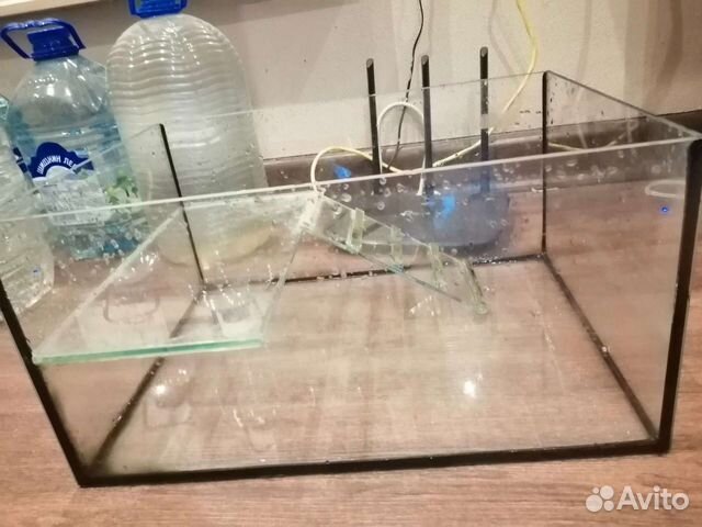 Аквариум для черепах