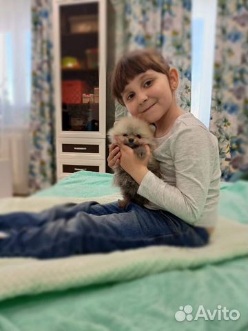 Щенок, мини мишка