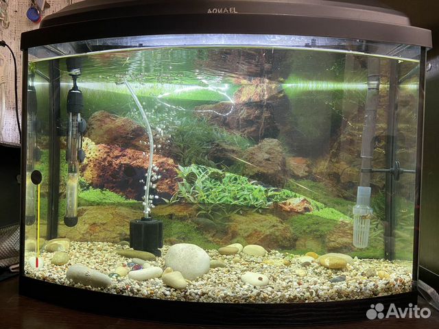 Аквариум