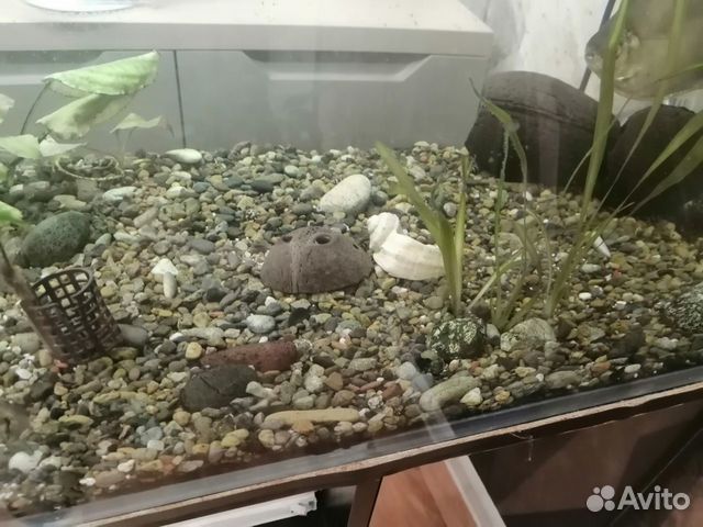 Отдам даром аквариум