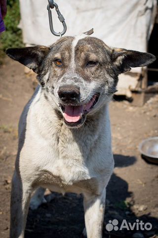 Выбери меня