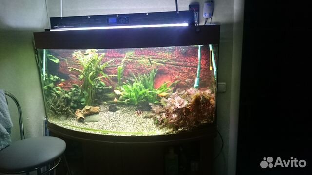 Продам Аквариум 330 л сфера Б.у