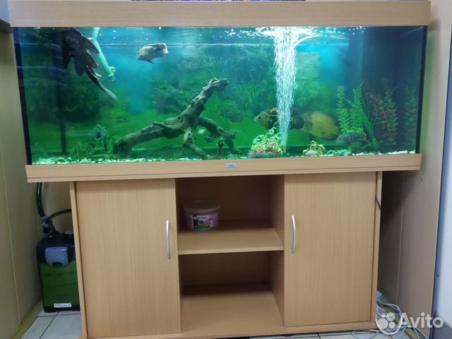 Продаю аквариум 400 литров juwel rio 400