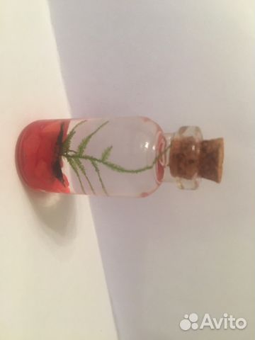 Миниатюрный аквариум