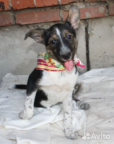 Самая активная и позитивная Кнопочка