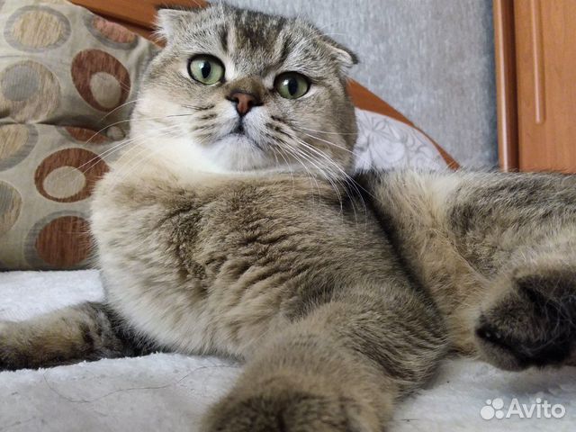 Вязка с красивым